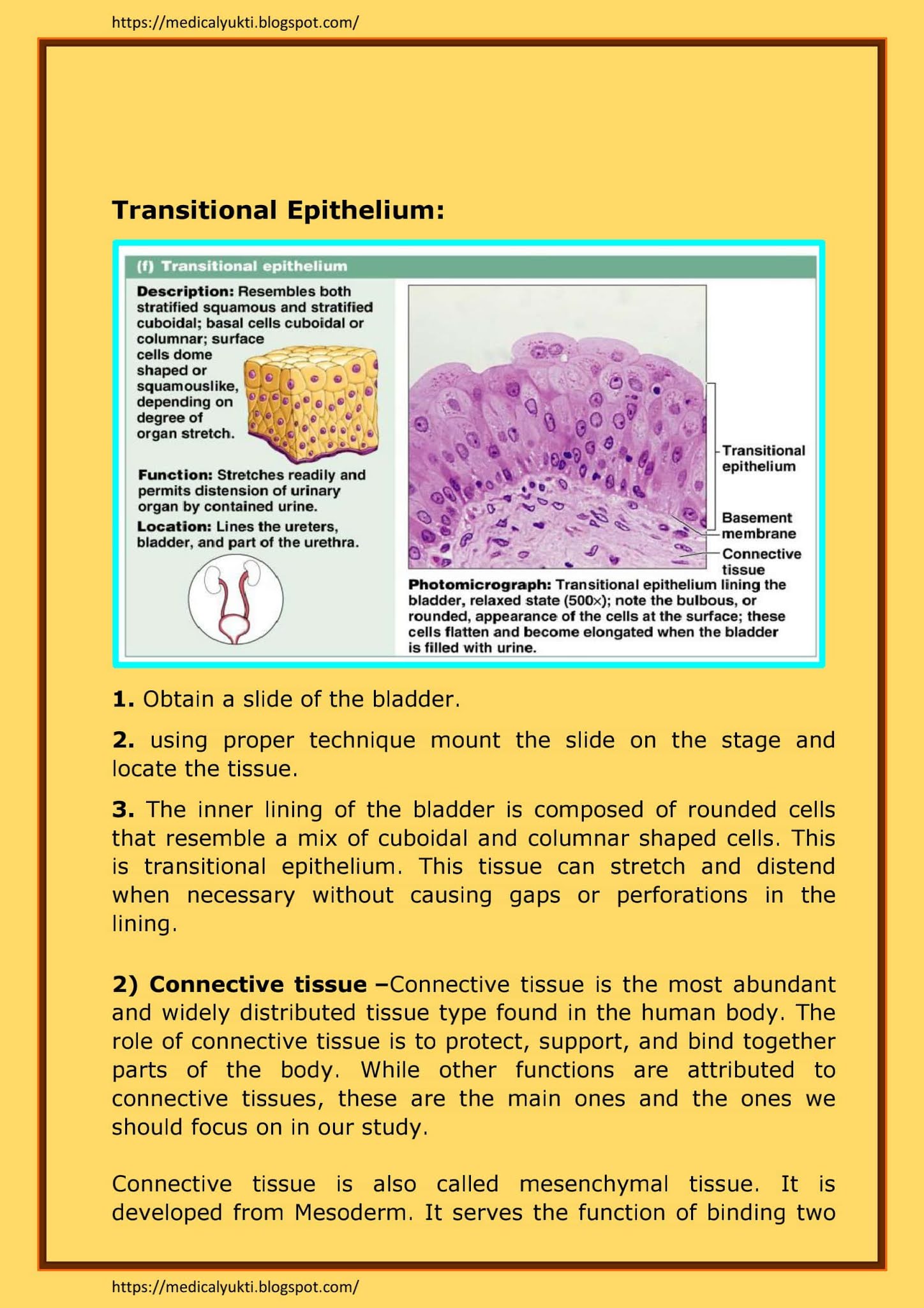 Tissue Anatomy and Physiology - Medical Yukti