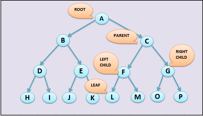 TREE [Struktur Data]