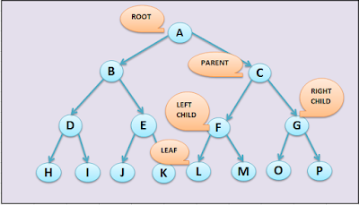 TREE [Struktur Data]