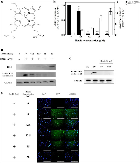 MASCARILLA . ADIOS A LA ÚNICA ANOMALÍA QUE NOS RECORDABA QUE EN 2020 ...