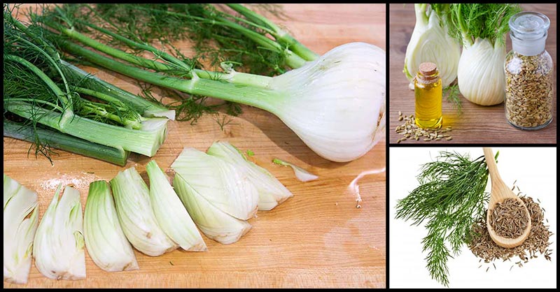 Impressive Health Benefits Of Fennel | Dr Farrah MD