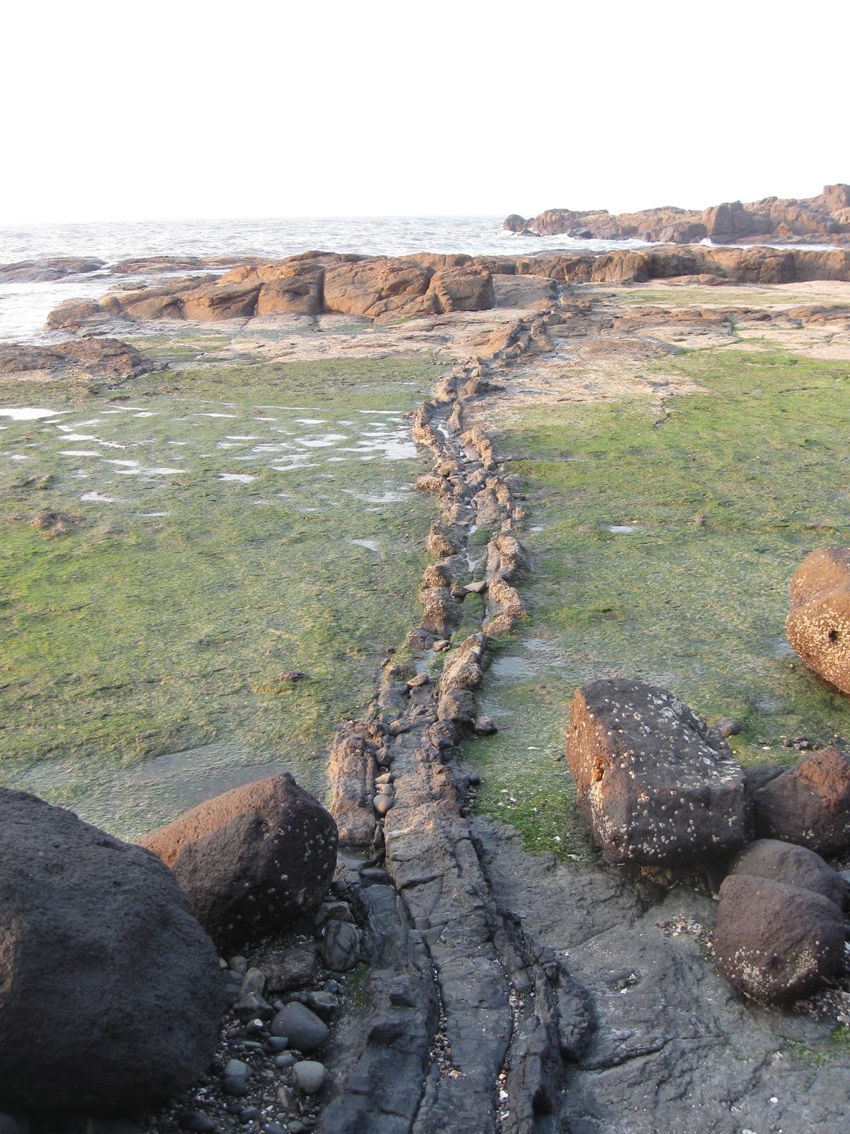 Rapid Uplift: Field Photos: Dikes At Korlai, India West Coast