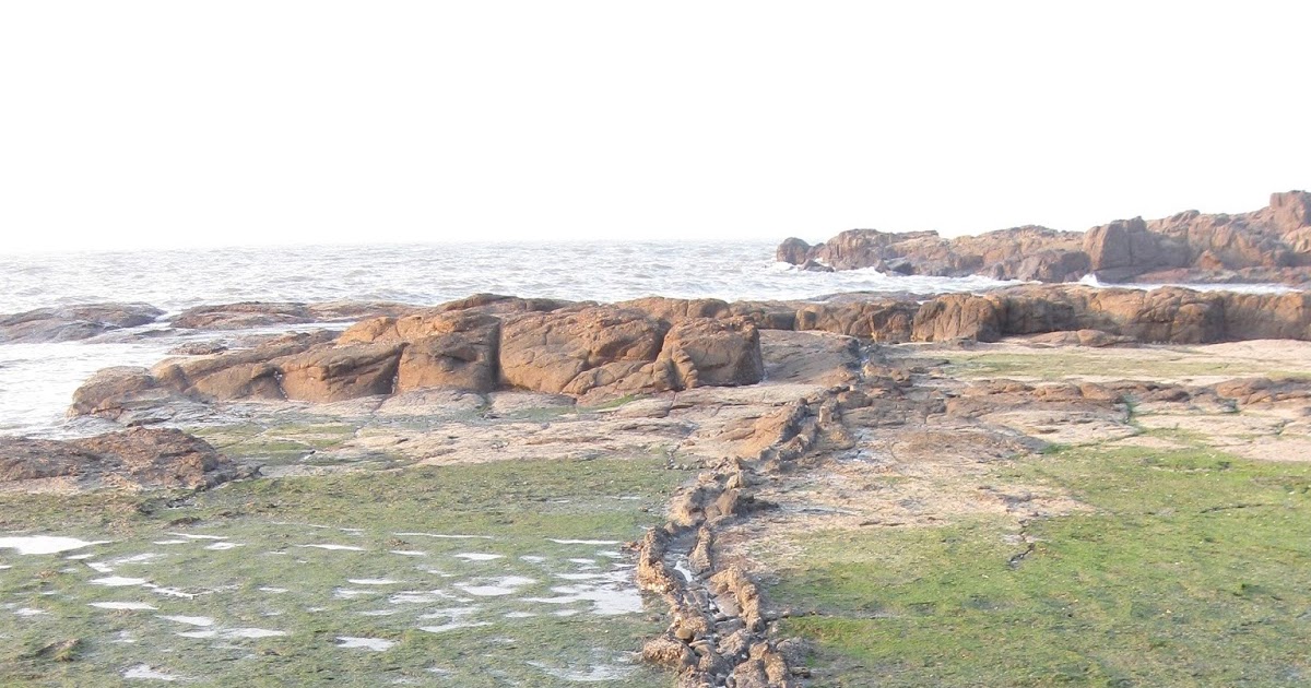 Rapid Uplift: Field Photos: Dikes At Korlai, India West Coast