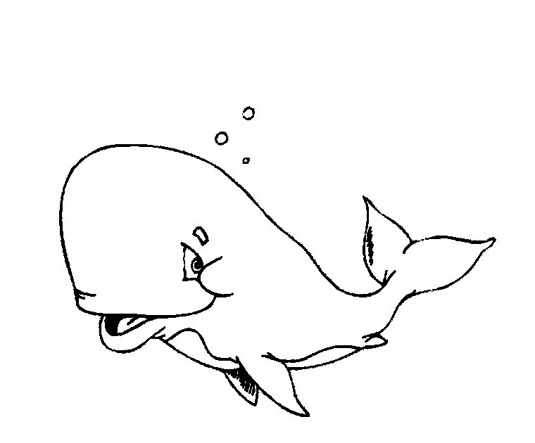 Dibujos para imprimir y colorear pintar imagenes para niños: Ballena ...