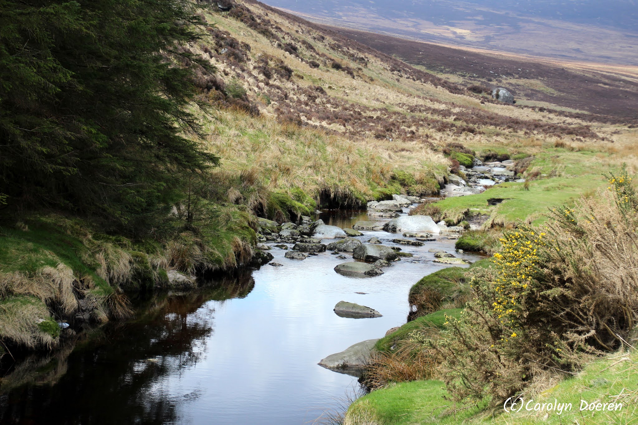 Flickensalat: Irland Teil 4 - Wicklow Mountains National Park