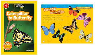 National Geographic Readers: Caterpillar to Butterfly 32 Page Paperback ...