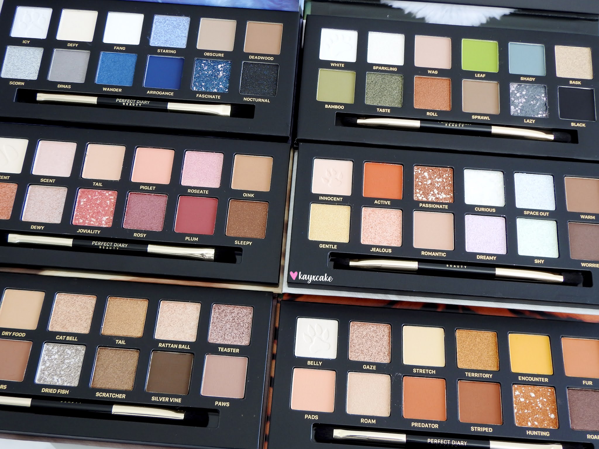 Kay Cake Beauty: Perfect Diary Beauty x Discovery Explorer Eyeshadow ...