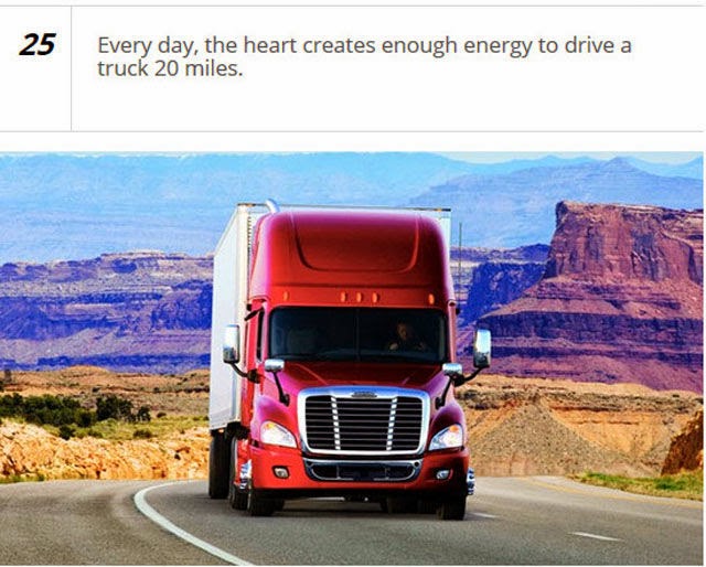 Post News Cool Facts About The Human Heart 25 Pics post-news-cool-facts-about-the-human-heart-25-pics