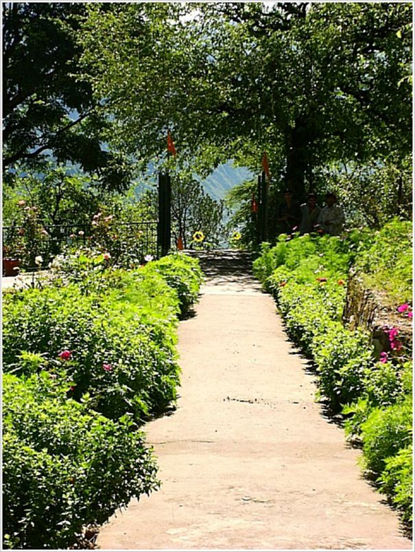 Kunsi Ashram Photo Album | Purusha at Maharishi Ashram - Kunsi ...