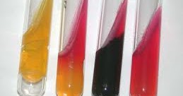 Triple Sugar Iron Medium (TSI medium) - Composition and bacteria cultured