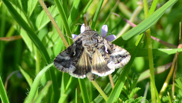 MochilAndo por el mundo