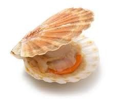 DELICIAS DEL MAR: COMO RECONOCER LA FRESCURA DE LOS MARISCOS