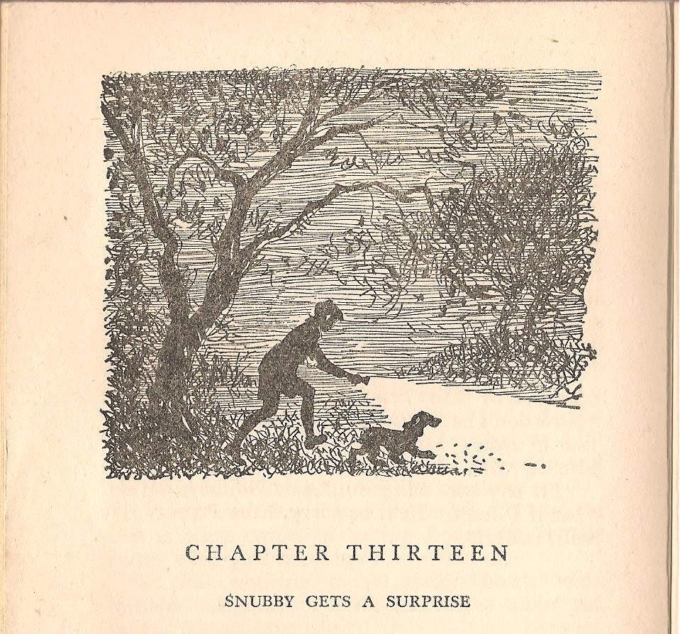 Seven Miles of Steel Thistles: Fairy Tales and Realism