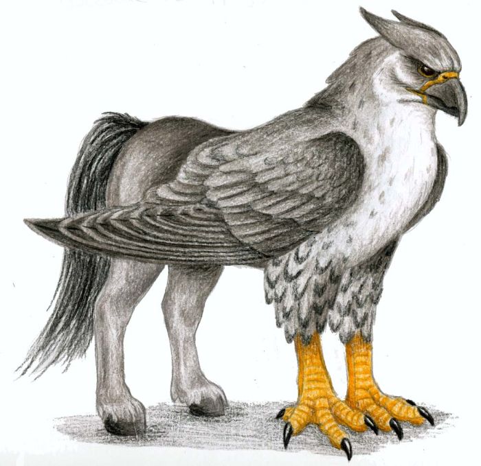 Mythological Dictionary: Hippogriff