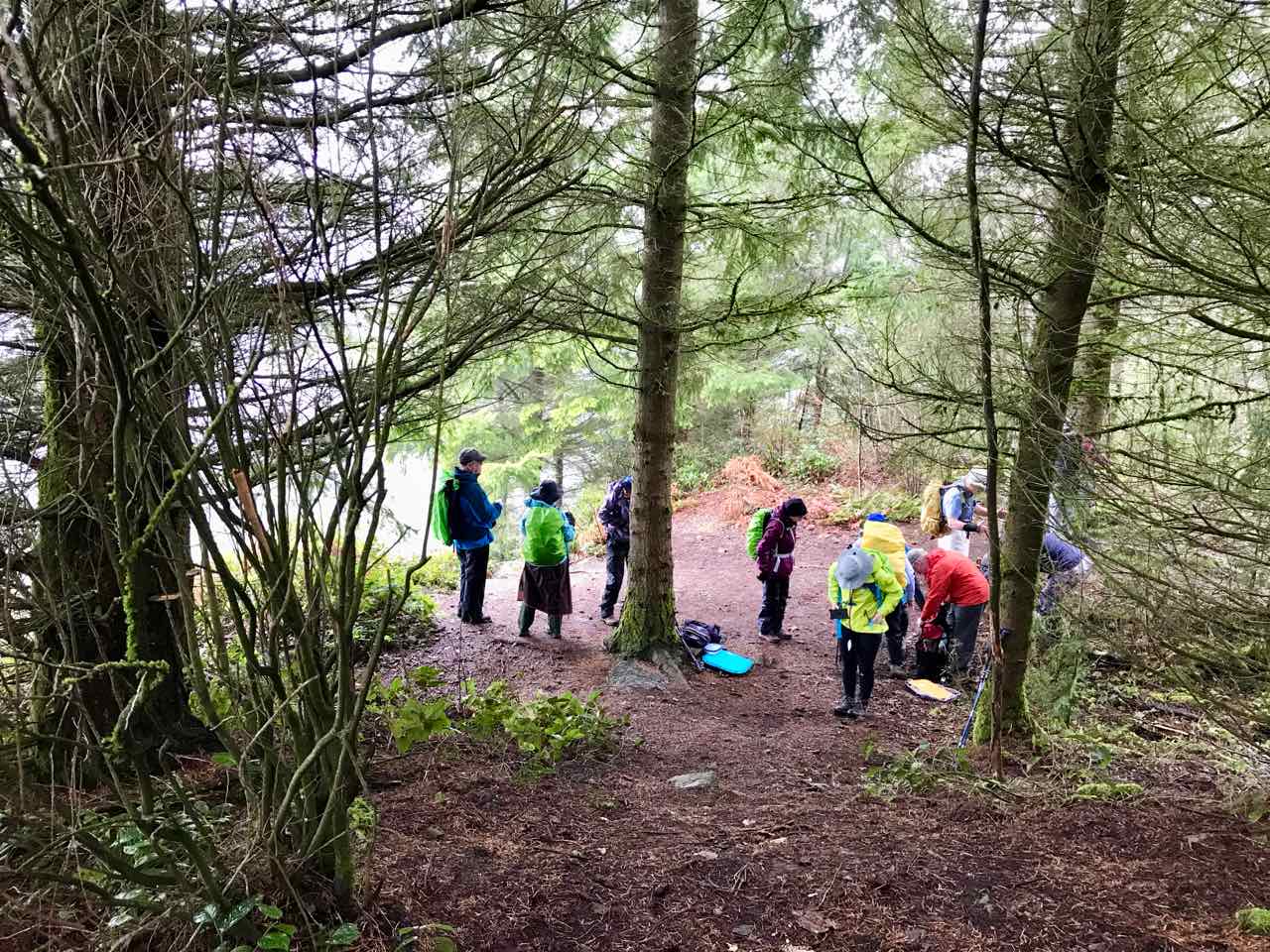 DJan-ity: Alger Alp 2020