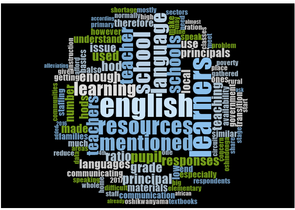 Mpunwa David Rewayi Professor