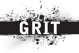 The Crisis Negotiator Blog: HNT Skills: What is Grit?