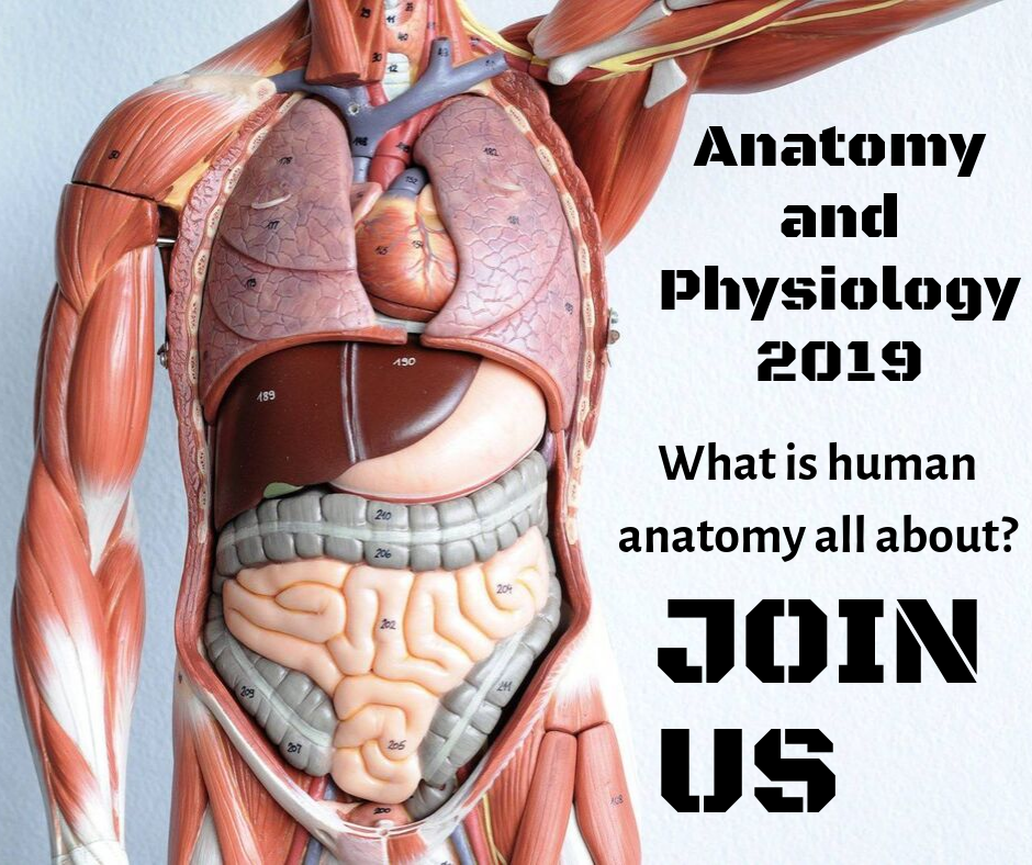 What Is Human Anatomy All About 3rd International Conference On What Is Human Anatomy All About 3rd International Conference On