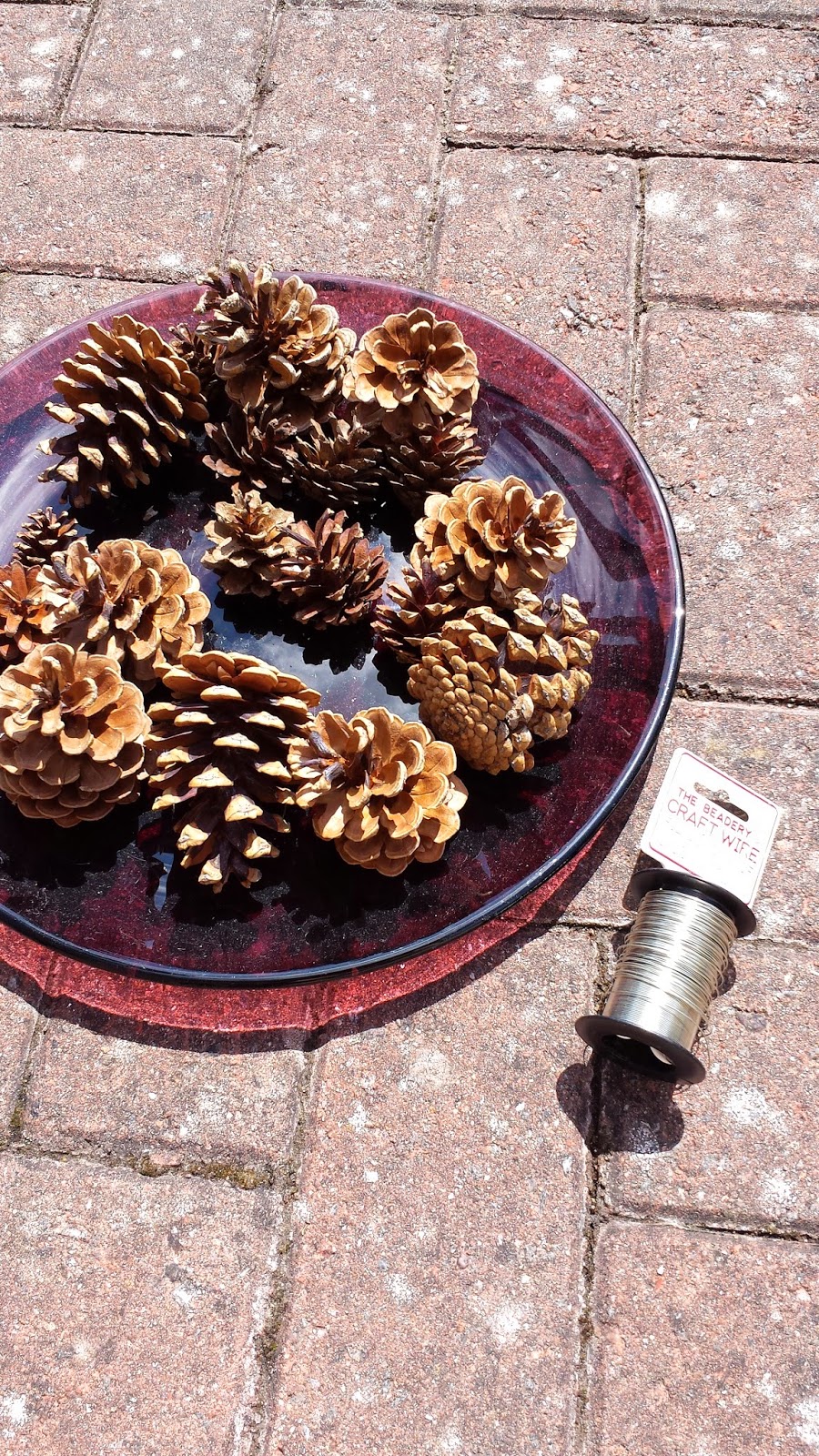 Doing It In Style: How to make paint dipped pine cones - tutorial