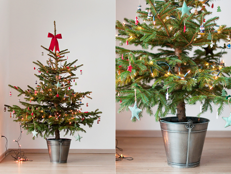 O Tannenbaum! / Euge de la Peña Blog