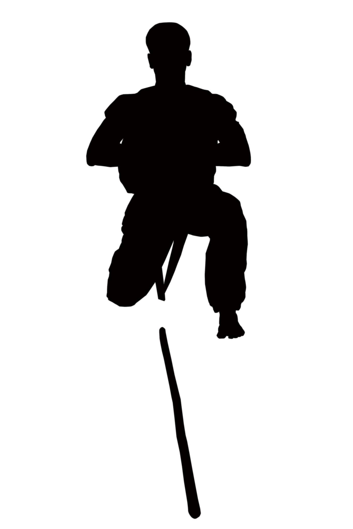 Panchabootha International Martial Arts Academy: Silambam Clipart , vector