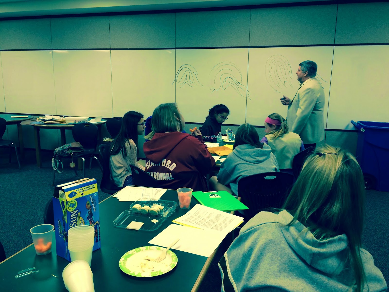 Follow The Leader: Cadettes: Special Agent Badge