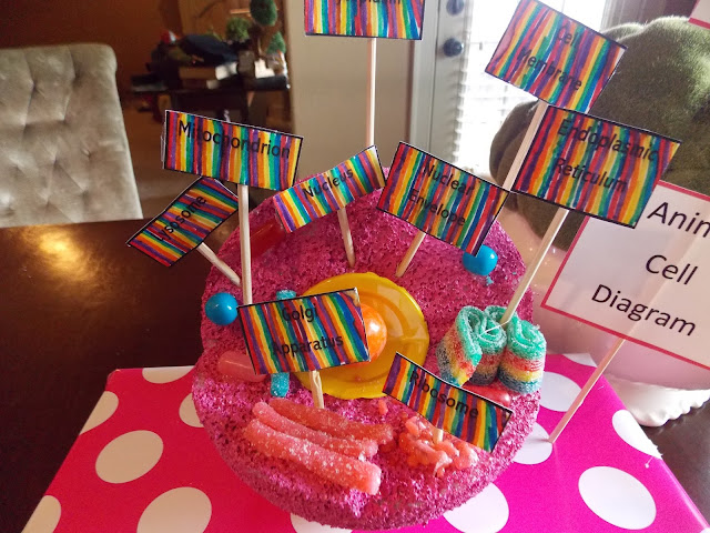 Sweet Family Sweet Life: {Colorful Candy Creation}