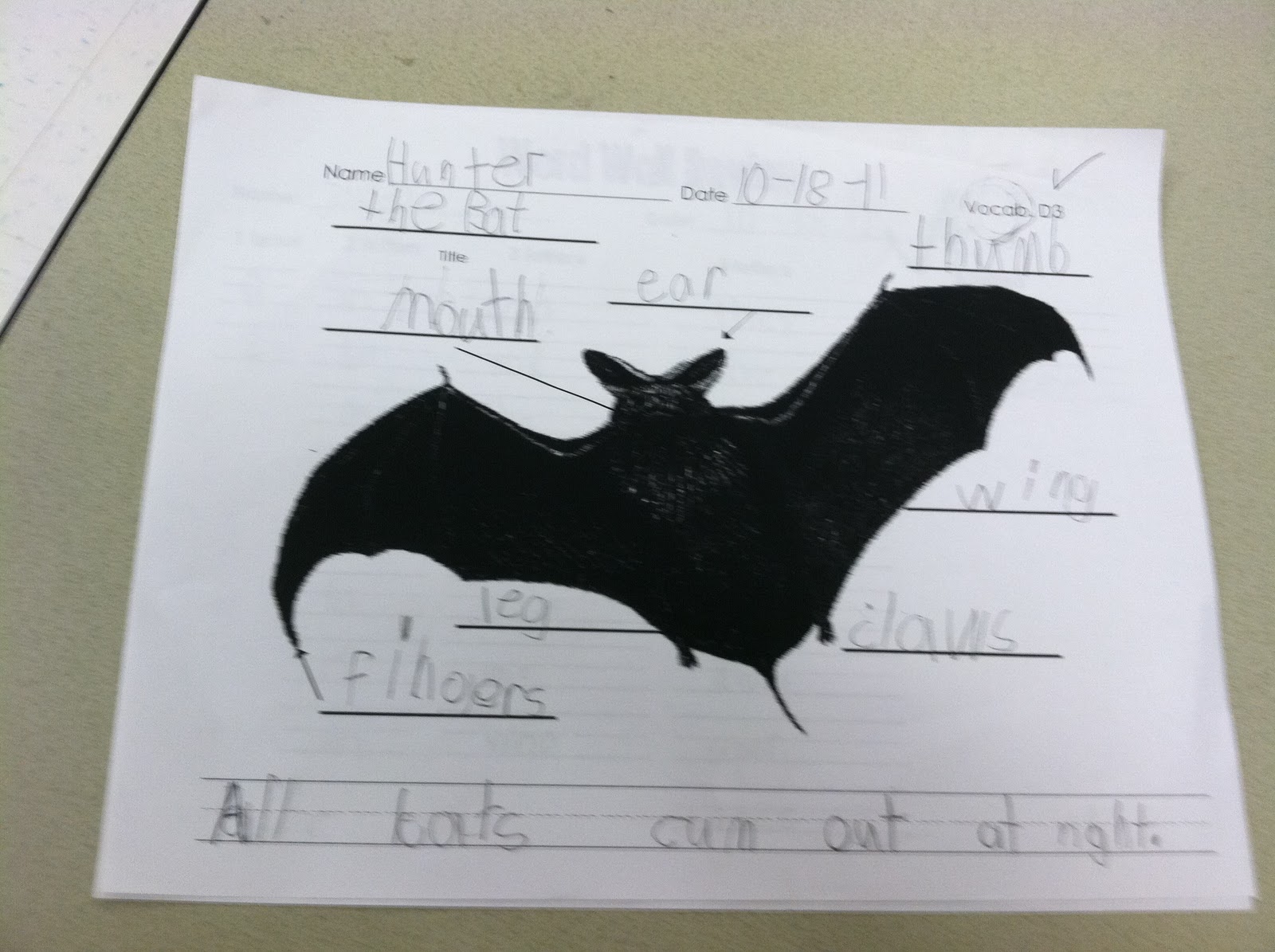 First Grade Fabulous Fish: Pumpkins, Spiders, and Bats . . . Oh, MY!!!