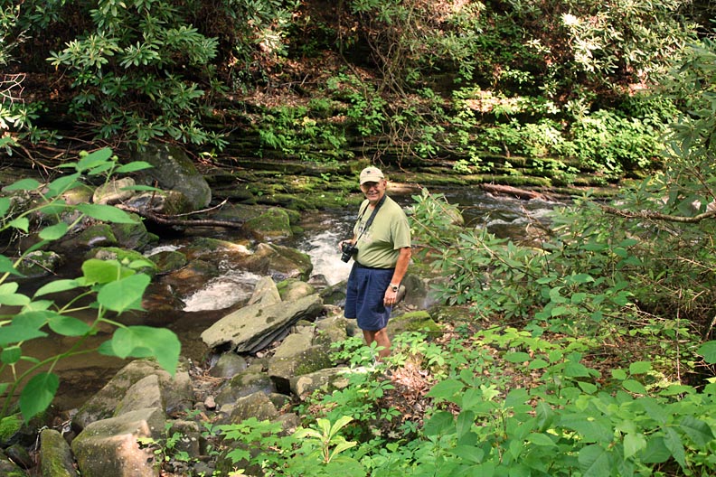 JOYFUL REFLECTIONS: Waterfalls along Parson Branch Road, Smokies