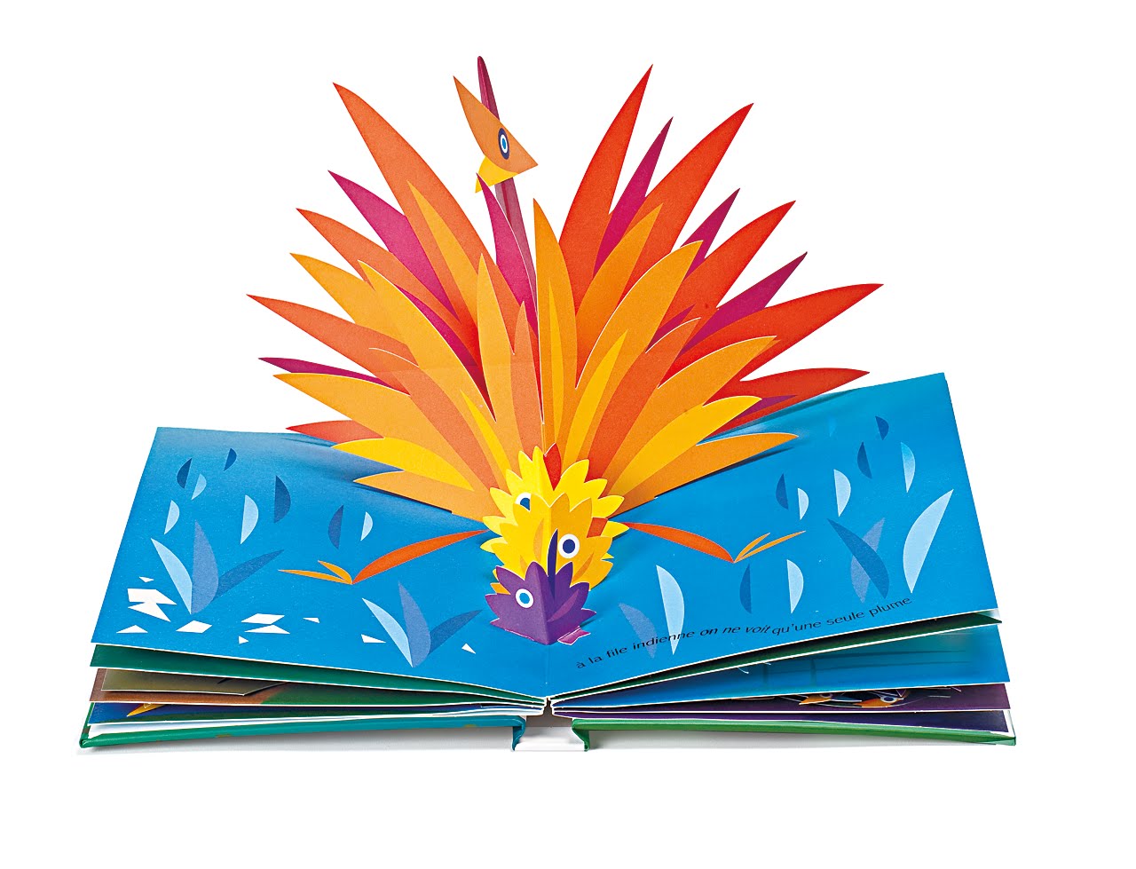 La boutique du livre animé: Drôles d'oiseaux à la Boutique du livre animé