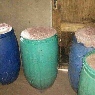 ASILI ASILIA: TOURISM AND CULTURE