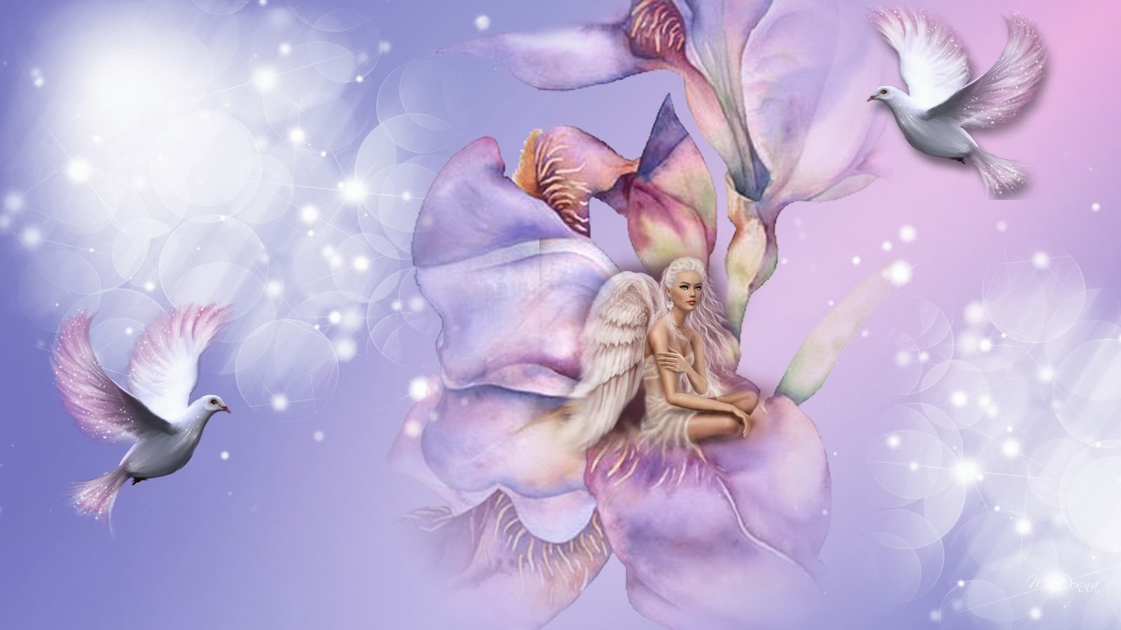 Angels and doves wallpaper - beautiful desktop wallpapers 2014