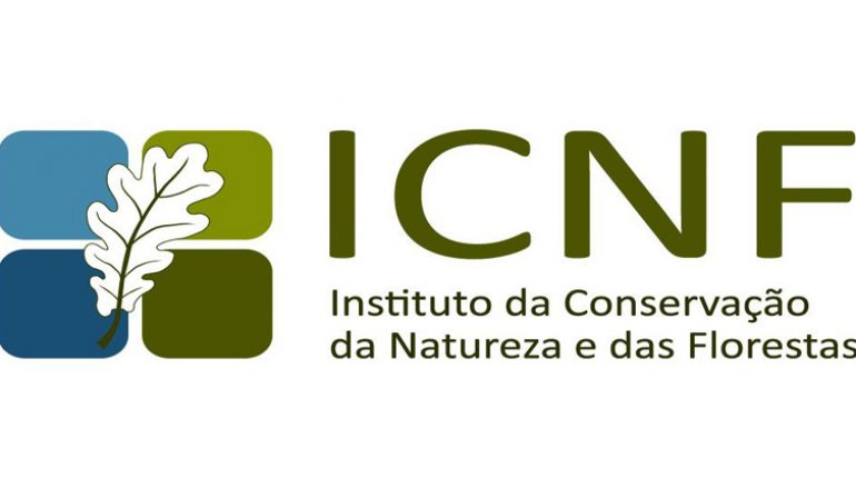 Carris: O ICNF transformado num buraco burocrático