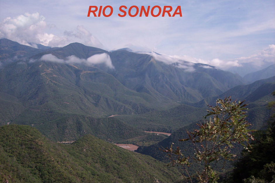 La Historia de Baviacora: Historia de Baviacora,Sonora.