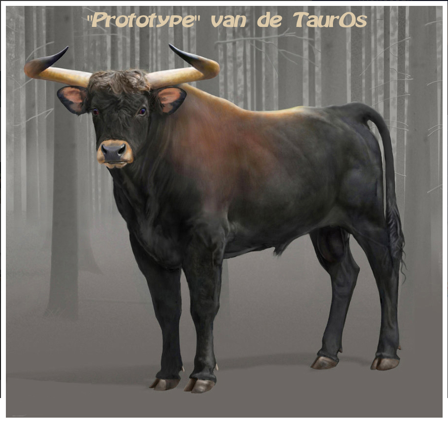 Weert en natuur: Prototype van de TaurOs