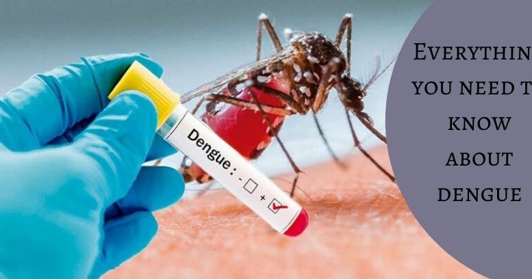 Everything You Need to Know About Dengue - World Informs