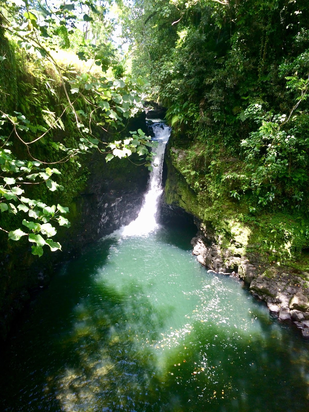 Serving in Samoa: Sauniatu