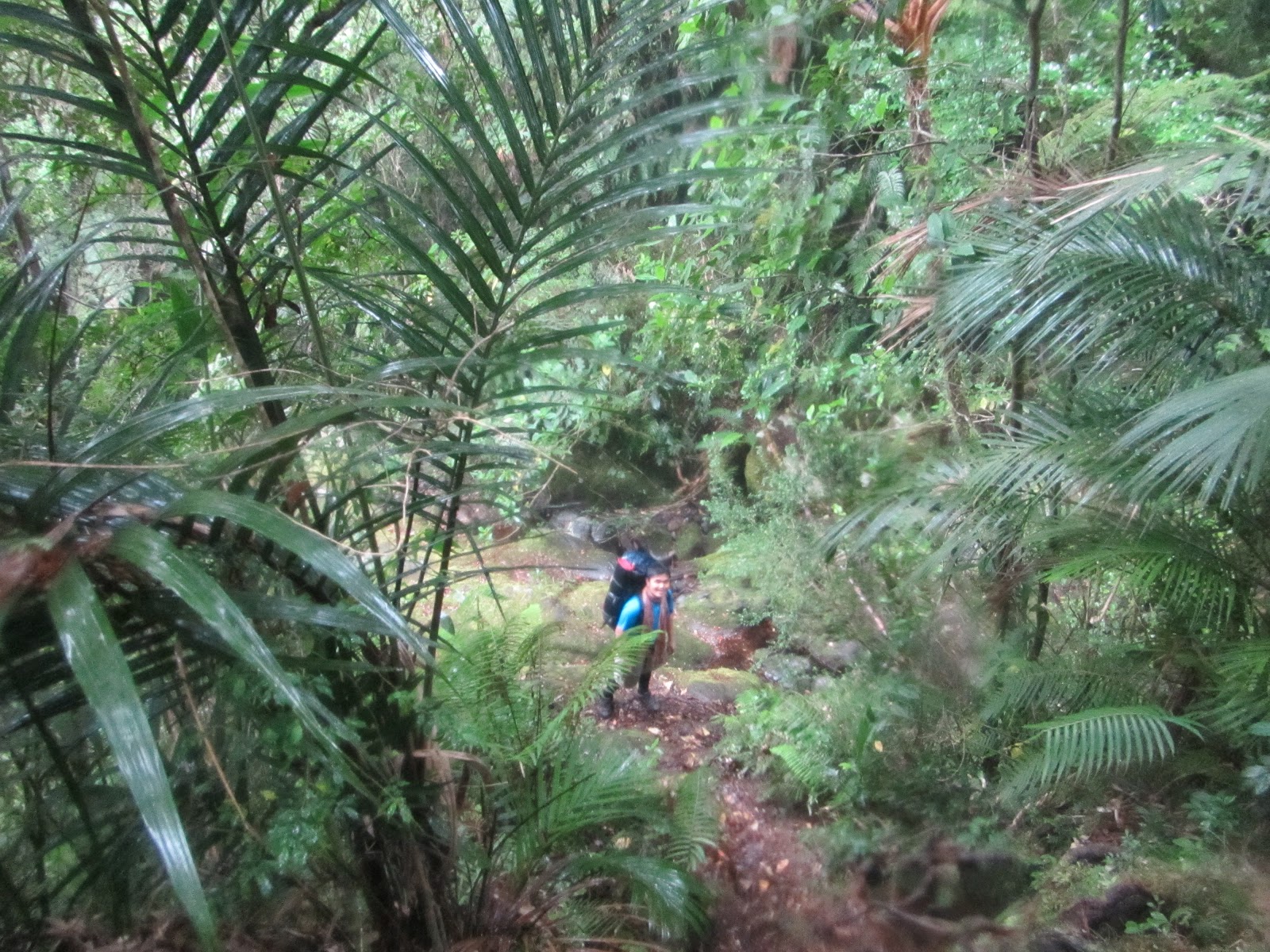 LEXICAL CROWN: MOUNT KANLAON CLIMB (GUINTUBDAN-GUINTUBDAN TRAIL)