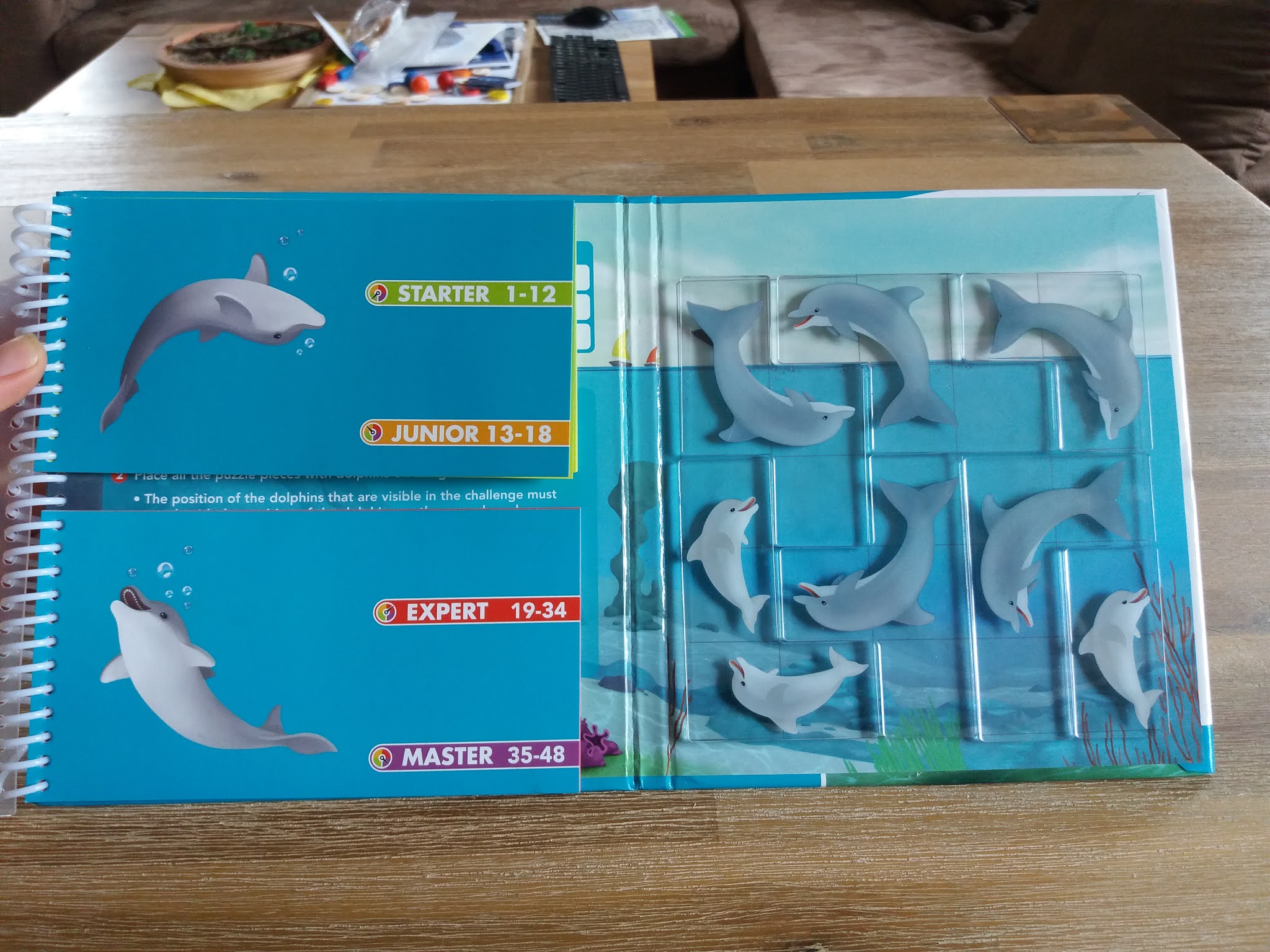Flippin Dolphins ~ BoardgameMonkeys
