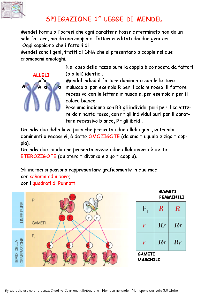 Scienze: Leggi di Mendel e genetica