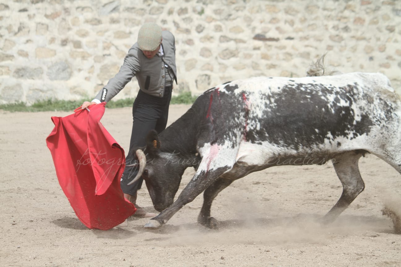 Escuela Cultural de Tauromaquia de Jaén: TENTADERO EN FLORES ALBARRÁN
