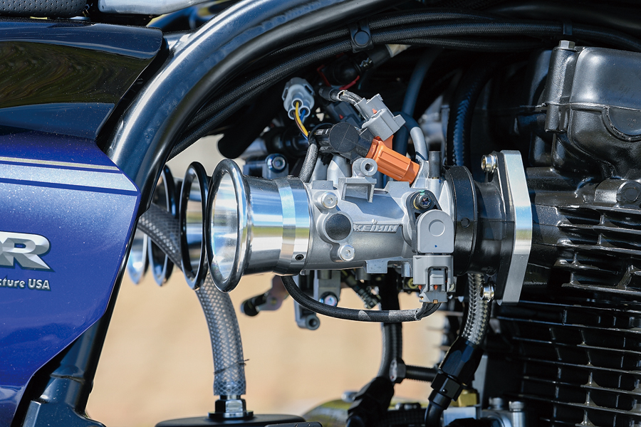 AC Sanctuary ーRCM USA A16-003