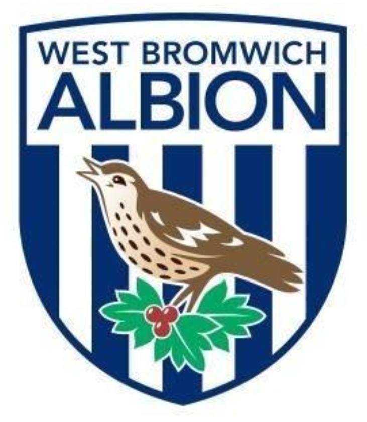 In The Public Domain?: Has WBA FC Profited From The Albion Foundation?