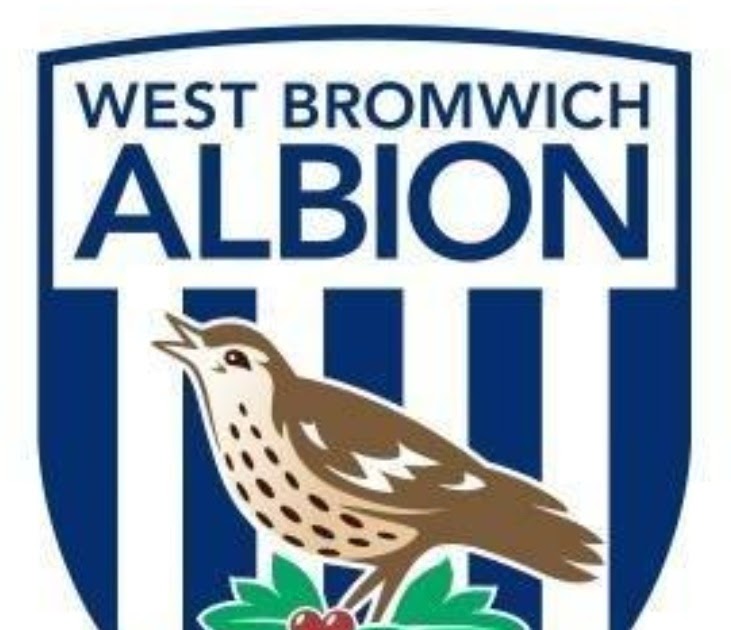 In The Public Domain?: Has WBA FC Profited From The Albion Foundation?