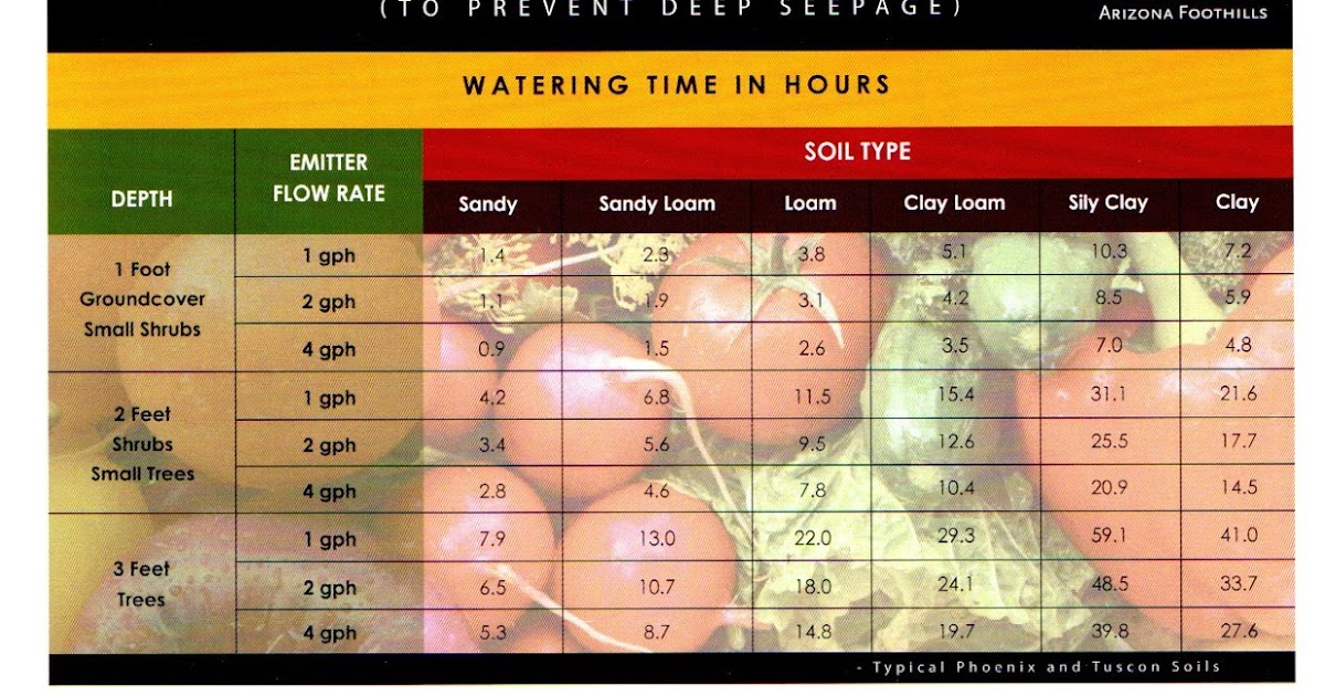 Aaron Rangel Gardening: Watering guides