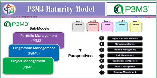 P3M3 Organization Maturity Self Assessment