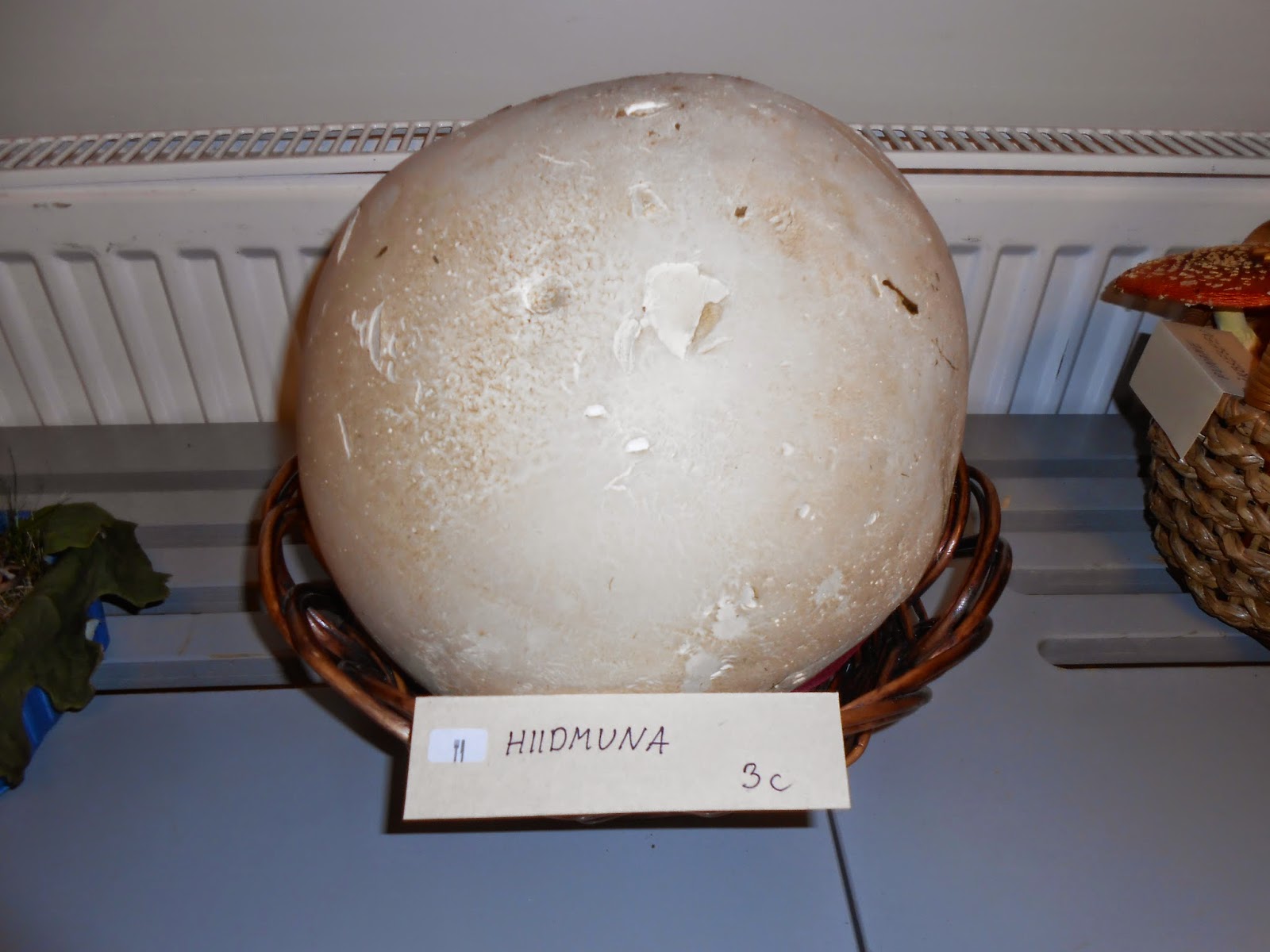 Õpetaja Sille klass 2012: 2014