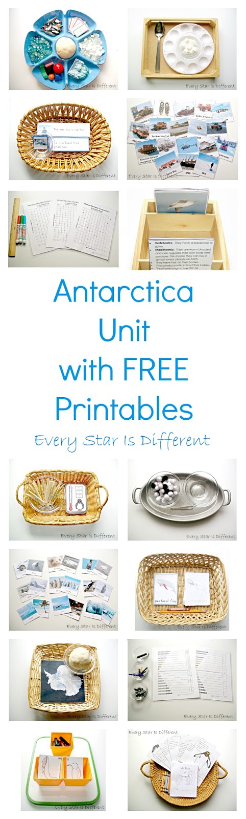 Antarctica Unit w/ Free Printables - Every Star Is Different
