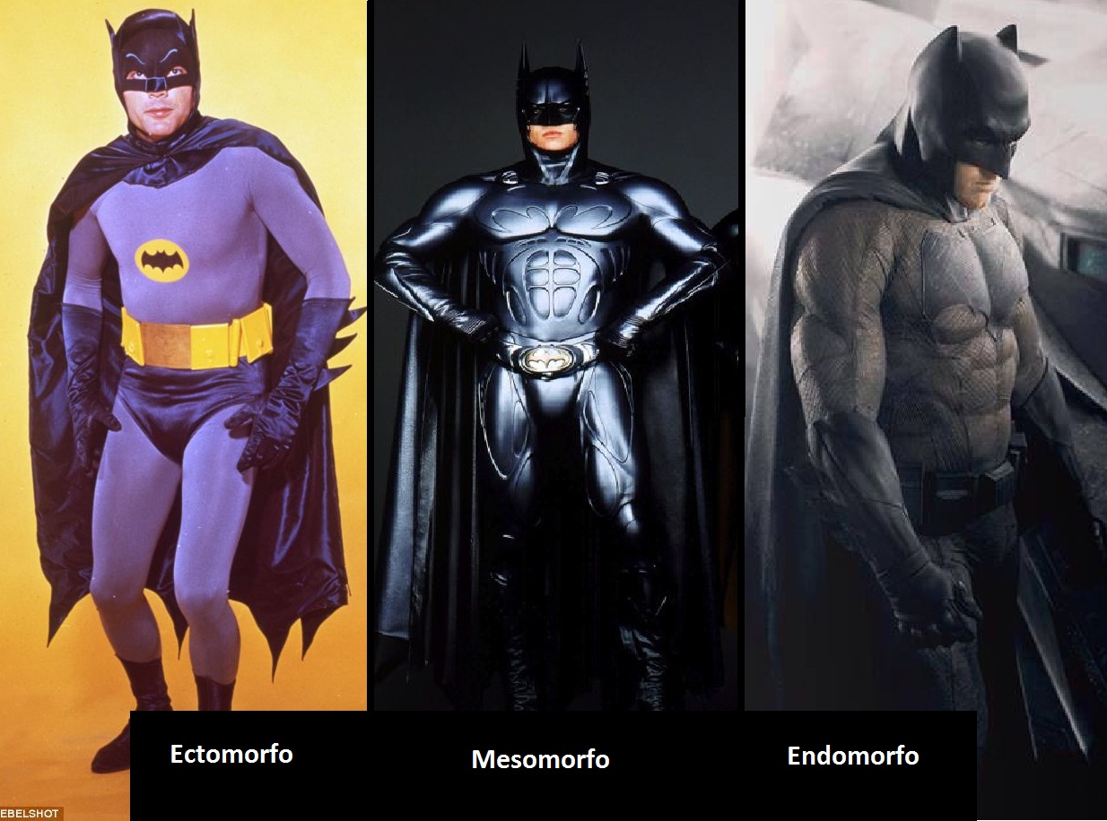 Medicina del Deporte y Nutrición: Somatotipos o Biotipos corporales ...