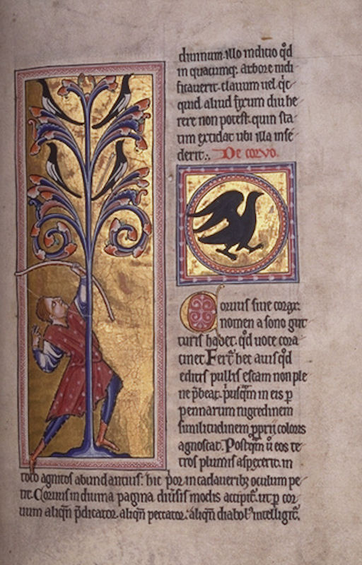 SCA Illumination: Bestiary/Archer Blank